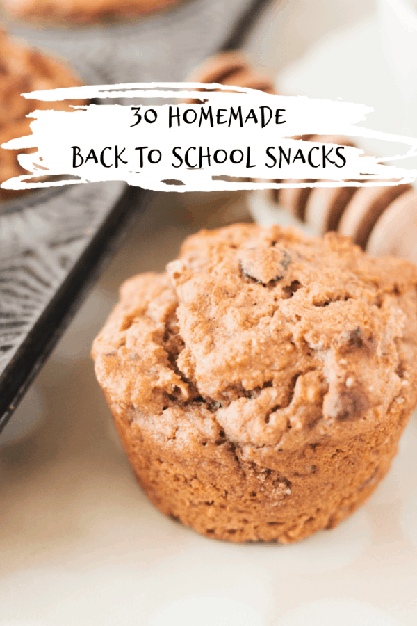 Easy Made From Scratch Back to School Snack Ideas - Whole Food Bellies